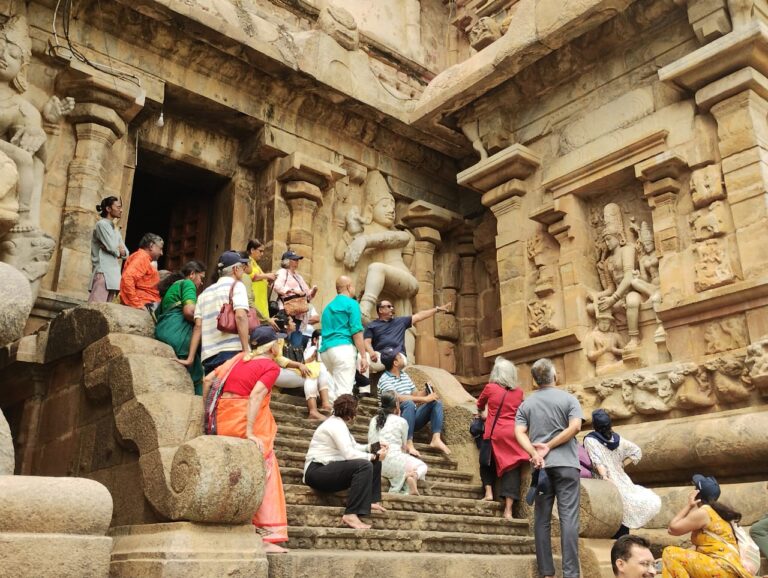 Madras Mandi – From Harvest to Stores Within 12 Hours – GoTN.in